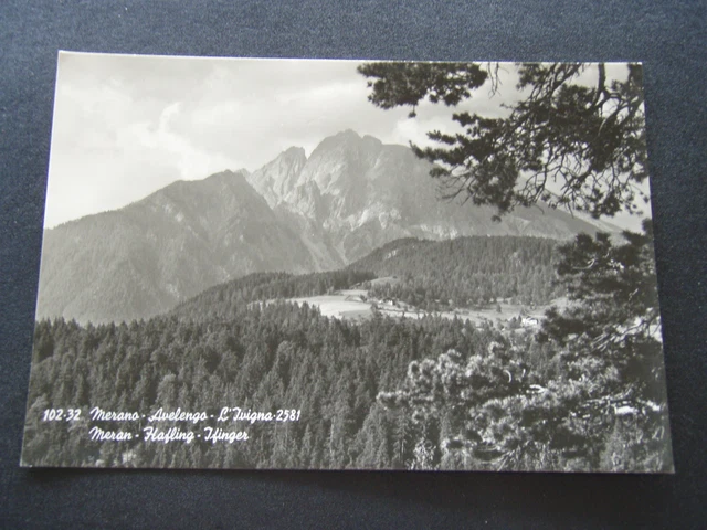 10232 - MERANO Avelengo Livigna Meran Hafling Ifinger - Postcard EUR 3 ...