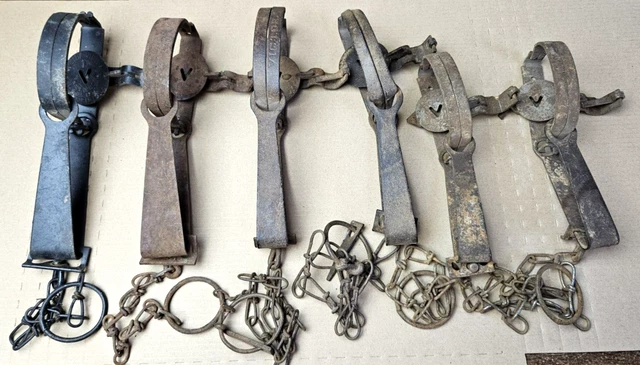 LOT OF 6 Vintage Oneida Victor Animal Traps w Chains 8" & 7" Steel ...