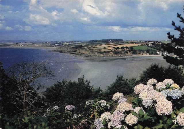 29 DOUARNENEZ LA Plage Et Les Falaises Du Ris EUR 5,90 - PicClick FR