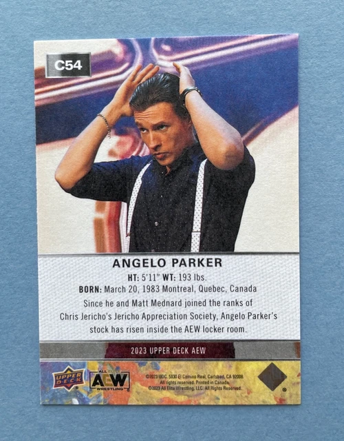 2023 UPPER DECK AEW Wrestling Angelo Parker UD toile #C54 EUR 4,26 ...
