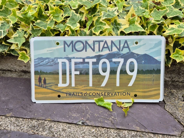 PLAQUE D'IMMATRICULATION MONTANA DFT979 USA US License Plate - Trails ...