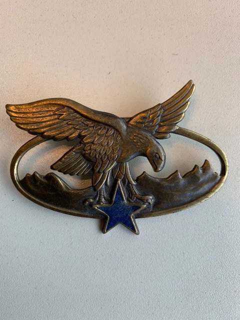 INSIGNE TROUPES DE MONTAGNE - chasseur alpin Grenoble EUR 5,00 ...