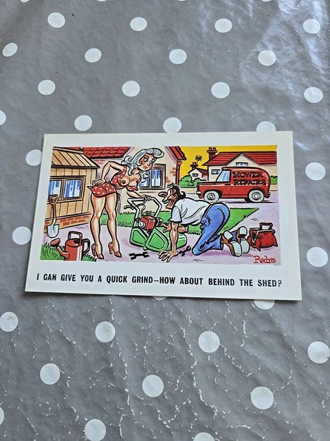 VINTAGE SAUCY SEASIDE Comic Postcard D Constance No 211 By Pedro £0.99 ...