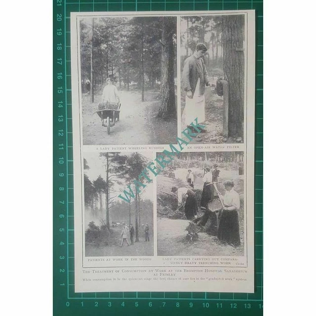 BROMPTON HOSPITAL SANATORIUM Frimley TB Consumption - c.1915 Cutting £7 ...