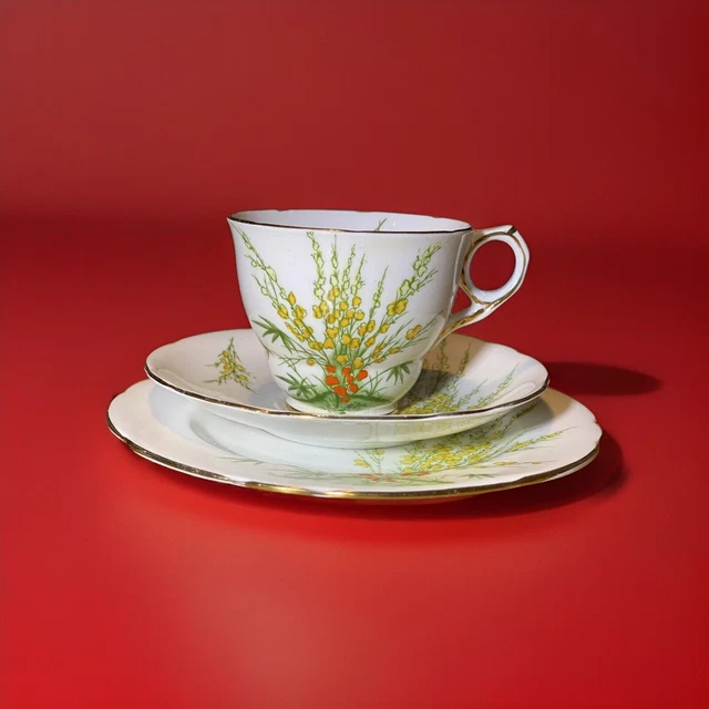 ROYAL STAFFORD BONE China Broom Design Hand Painted Tea Set Vintage ...