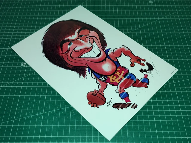 MODERN FOOTBALL A4 Mini Poster Fitzroy Lions Wilson vfl afl $20.50 ...