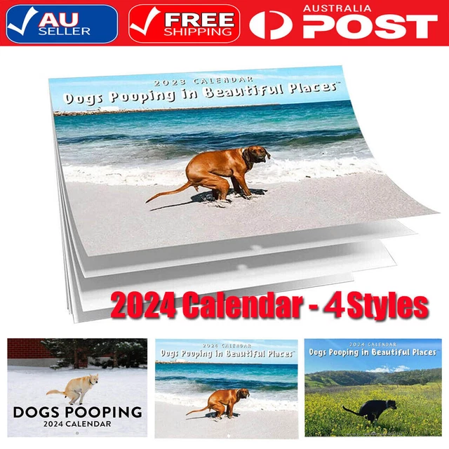 2024 FUNNY DOGS Pooping In Beautiful Places Wall Calendar Hangable For ...