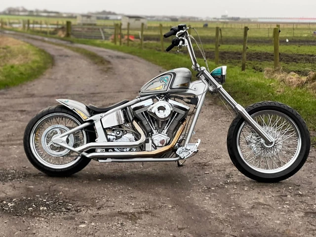 HARLEY-DAVIDSON CUSTOM CHOPPER Jaw Dropping Machine With Air Ride And ...