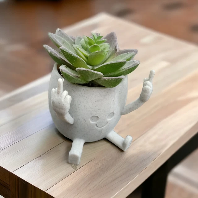 3D PRINTED CUTE Happy Middle Finger Pot/pot Plant Holder/planter. £14. ...