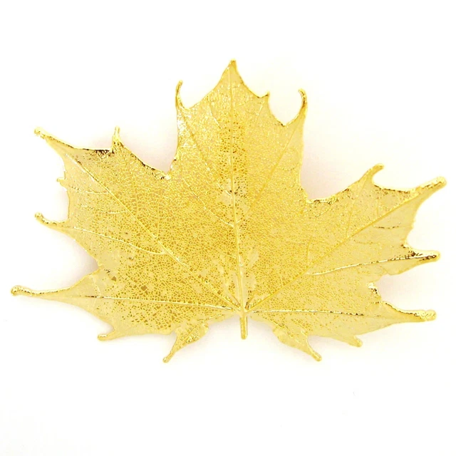 NEUF 100% VÉRITABLE Naturel Sucre Érable Feuille Plongé en Or Broche Et ...