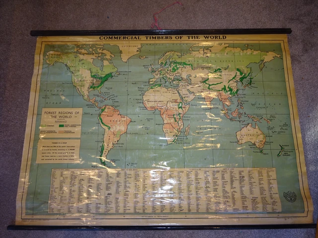 VINTAGE GEORGE PHILIP School Canvas Map Chart Forest Regions Of The ...