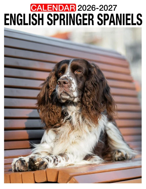 ENGLISH SPRINGER SPANIELS Kalender 2026 - 2027 EUR 34,99 - PicClick DE