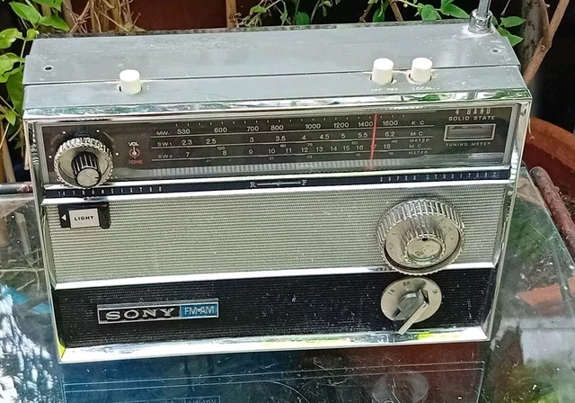 TRANSISTOR VINTAGE SONY Tfm-1000Wa Am/Fm Radio Onde Corte 4 Banda Per Parti EUR 70,04 - PicClick IT