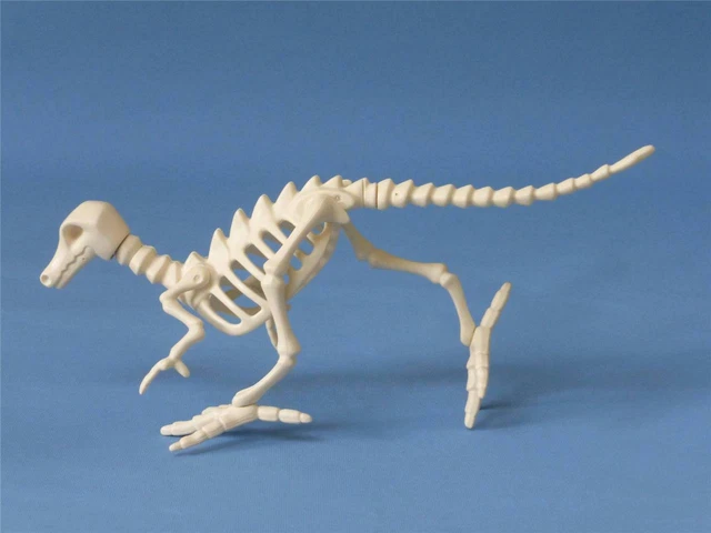 PLAYMOBIL DINOSAUR BONES / Skeleton Safari Wildlife Explorer Adventure ...
