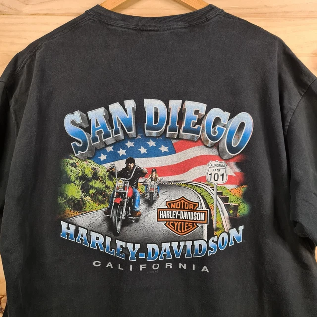 HARLEY DAVIDSON SAN Diego California This Is Why We Ride T-shirt Men's ...