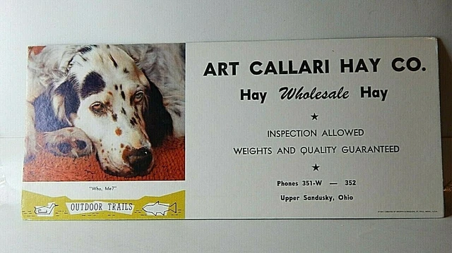 1950'S ART CALLARI Hay Co Upper Sandusky Ohio Advertising Ink Blotter ...
