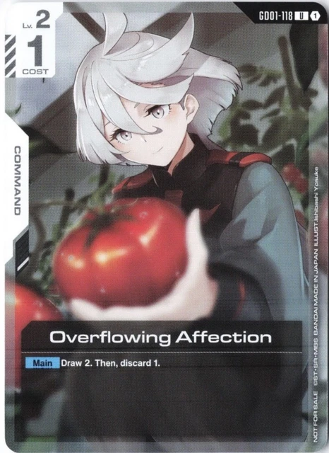 OVERFLOWING AFFECTION NEWTYPE Challenge 2025 Mission Alt Art- Gundam ...