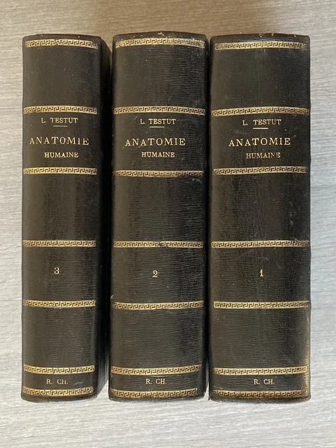 L. TESTUT . Traité d'anatomie humaine . Tomes 1 , 2 & 3 . Ed 1896 . BE ...