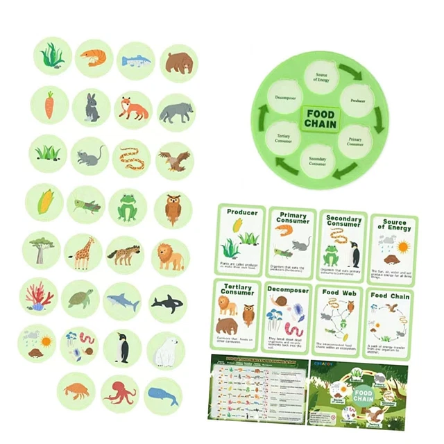 LIFE CYCLE KIT Food Chain Animal Matching Game for Toddlers £14.24 ...
