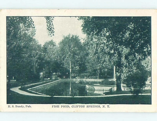 DIVIDED-BACK CLIFTON SPRINGS FISH POND Adirondacks - Clifton New York ...