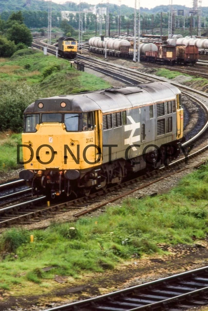UK DIESEL TRAIN Railway Photograph Of Class 31 31142 Loco. (Rm31-101) £ ...