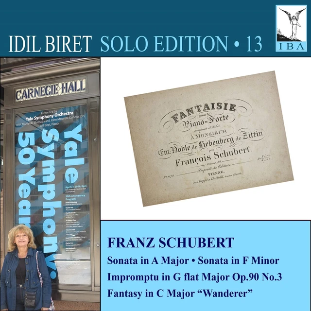 8571333 IDIL BIRET Idil Biret Solo Edition, Vol. 13: Franz Schubert ...