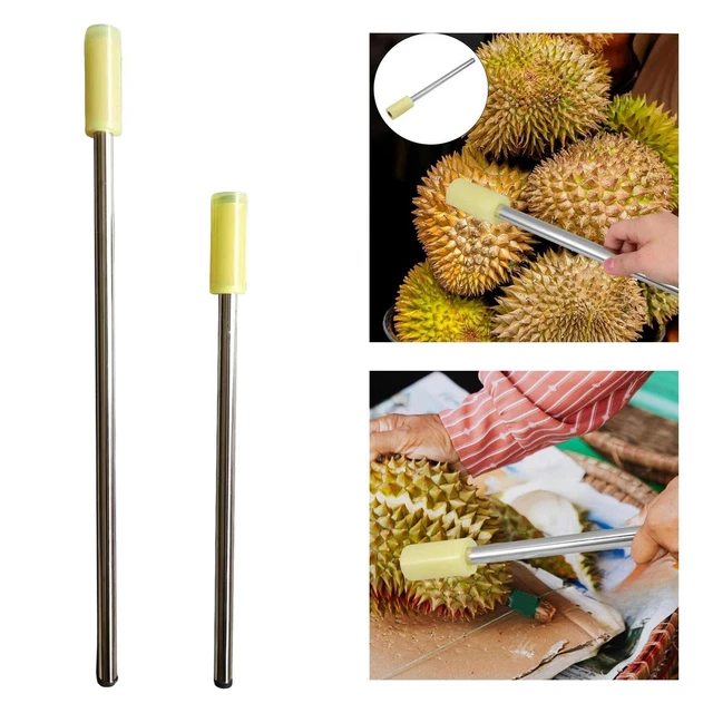DURIAN TESTING STICK Ripe Fruit Testing Tool Sound Identification ...