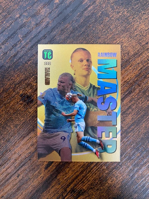 ERLING HAALAND RAINBOW Master #202 - Panini Top Class 2024 EUR 7,28 ...