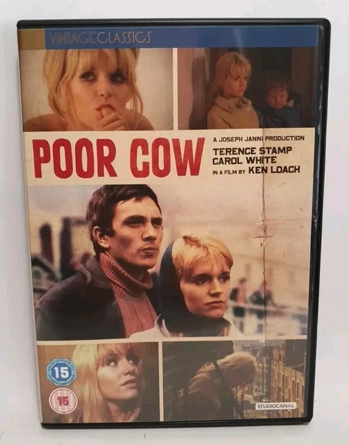 POOR COW (1967) DVD Terence Stamp Ken Loach Uk Region 2 Dvd EUR 7,03 ...