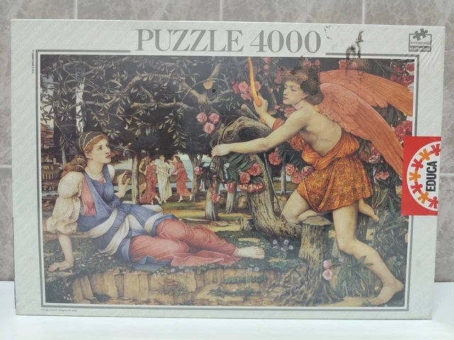 EDUCA 4000 PUZZLE LOVE and the Maiden John Roddam No. 11763 £170.53 ...