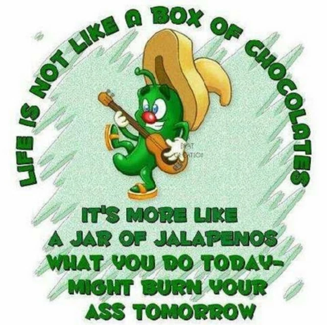 2-PACK POT HEAD Rat Rod Hot Rod Vintage Racing Rat Fink 420 Weed Decal ...