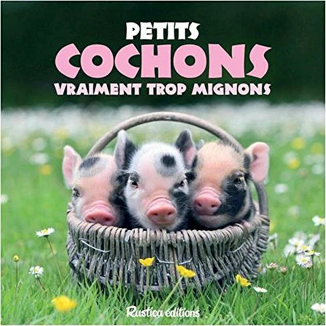 PETITS COCHONS VRAIMENT trop mignons | Austin Richard | Très bon état ...