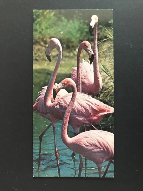 NESTLÉ - CARTE MERVEILLES DU MONDE - Le Flamant Rose N° 35 EUR 3,00 ...