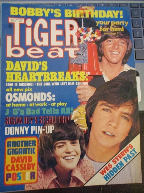 TIGER BEAT TEEN Magazine July 1971 Bobby Sherman, David Cassidy ...
