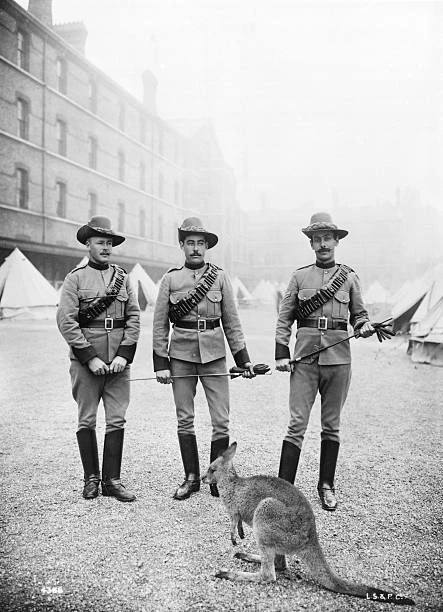 AUSTRALIAN SOLDIERS AND Kangaroo 1900S Old Photo $9.00 - PicClick AU
