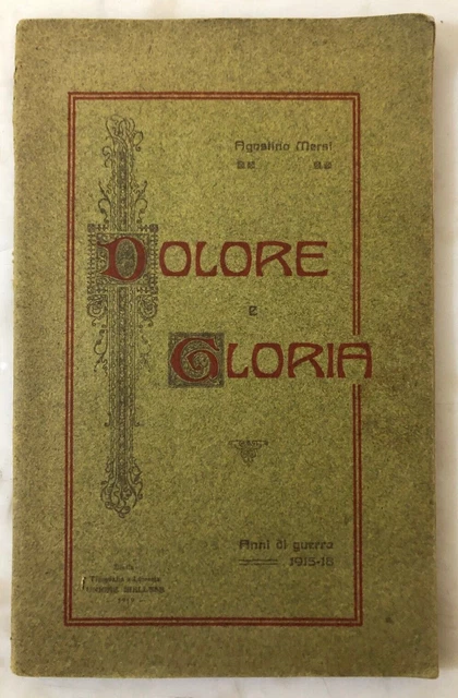 RARISSIMO LIBRO DOLORE e gloria Anni di guerra 1915-1918 Agostino Mers EUR 44,58 - PicClick FR