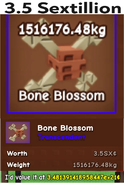 3.5 SEXTILLION SHECKLES bone blossom (1 FRUIT) B 🔥GROW A GARDEN $15.00 ...