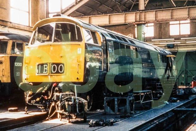UK DIESEL TRAIN Railway Photograph Of Class 52 Western D1000. Rm52-04 £ ...