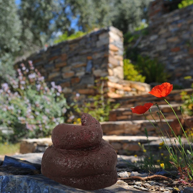 OUTDOOR 💩💩💩💩💩💩💩💩💩💩💩💩💩💩💩💩💩💩POOP HIDDEN Key Box £17.75 - PicClick UK