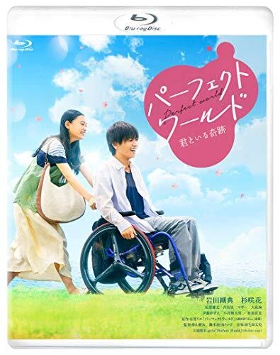 PERFECT WORLD MIRACLE Entrant Kimi [Blu-ray] Du JAPON [KDQ] EUR 91,97 ...