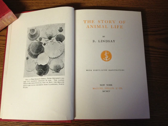 STORY OF ANIMAL Life-Lindsay-Library Of Valuable Knowledge 1904 ...