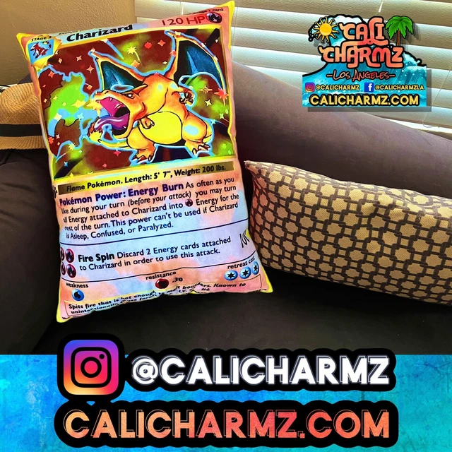 JUMBO CHARIZARD POKEMON CHIPS CANDY CHEETOS LAYS Decorative Pillow 2FT ...