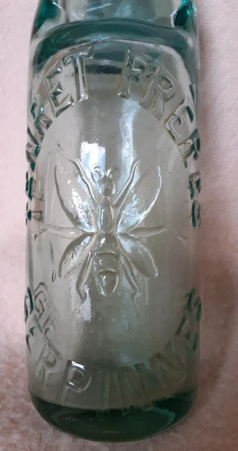 RARE BIG INSECT Pictorial BELGIAN Codd Bottle GERPINNES Barnard London ...