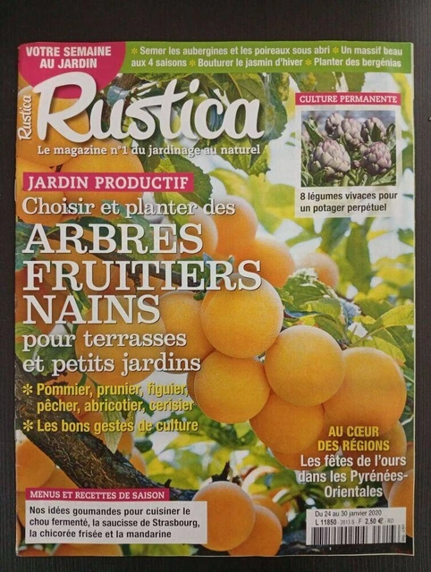 MAGAZINE RUSTICA VIEW No. 2613 S Good Condition £1.75 - PicClick UK