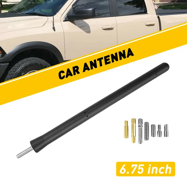 CAR BEESTING BEE Sting Radio/Stereo Aerial Ariel Mast Antenna Universal ...