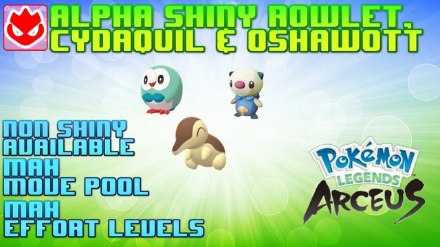 SHINY ROWLET/CYNDAQUIL/OSHAWOTT 6IV/EV Alpha Pack Legends Arceus ...