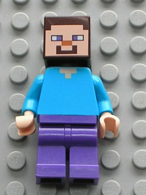 LEGO MINECRAFT CHARACTER Minifig Steve min009 / Set 21115 21147 21113 ...