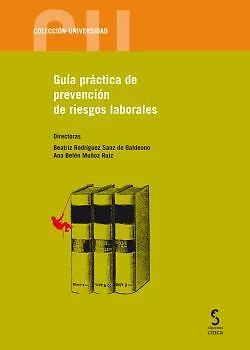 GUÍA PRÁCTICA DE PREVENCIÓN DE RIESGOS LABORALES. NUEVO. Envío URGENTE (IMOSVER) EUR 26,60 ...
