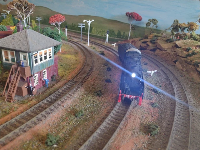 EXCELLENT NSWGR ARM C38 Class Passenger Steam Locomotive - DCC - HO ...