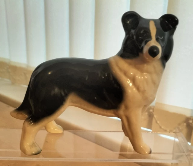 BESWICK STYLE GLAZED Vintage Border Black & White Collie 10.5cm ...
